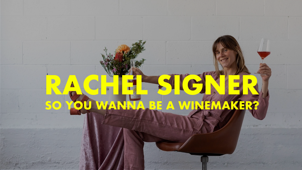So You Wanna Be A Winemaker | Rachel Signer – MORE Natural Wine