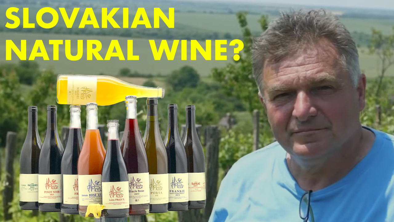 Strekov 1075 - Impressions of a Biodynamic Master – MORE Natural Wine