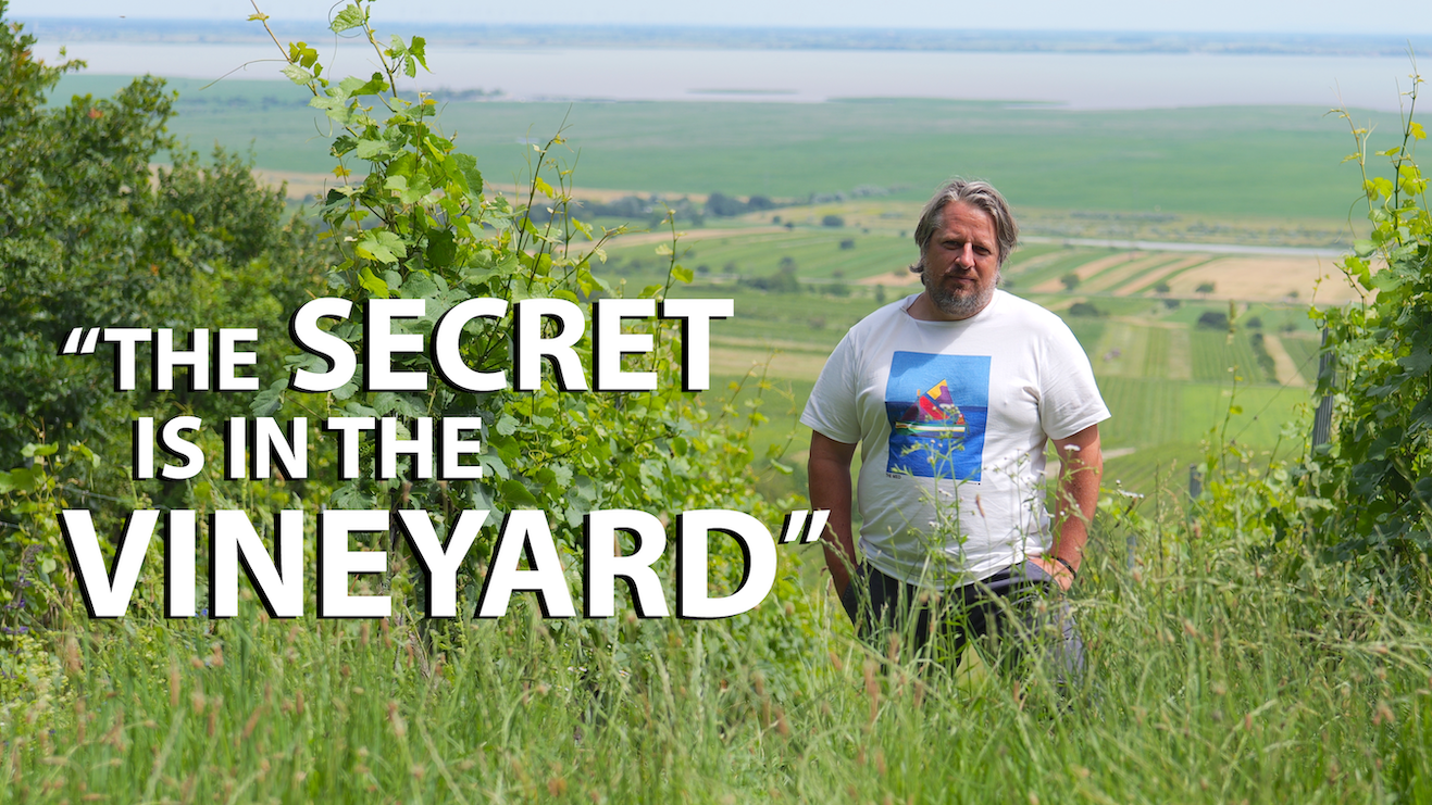 Christian Tschida "The Secret Is In The Vineyard" VIDEO – MORE Natural Wine