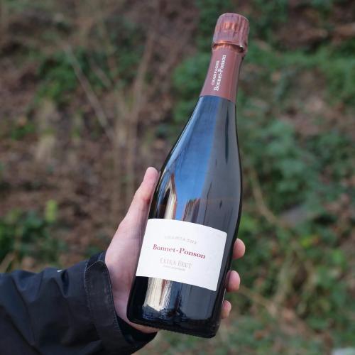 Bonnet Ponson | MORE Natural Wine